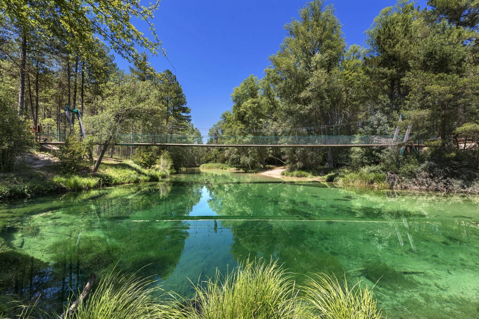 El Parque Natural del Alto Tajo cumple 25 años: ejemplo de conservación ...